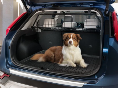 Kia Niro / E-Niro 2022-Present Dog Guard | Kia Parts Direct